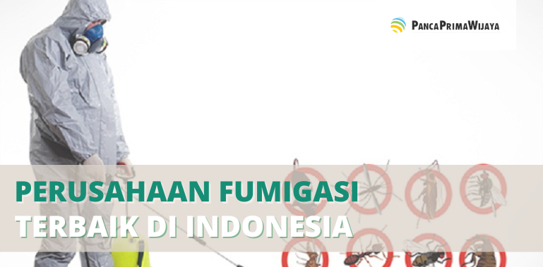 Perusahaan Fumigasi Terbaik di Indonesia | Ahli Fumigasi